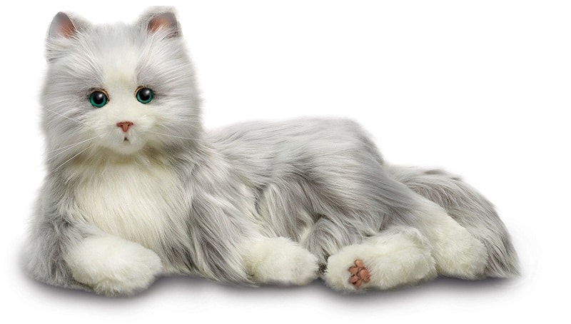 Científicos han desarrollado un robot gato para ayudar a los ancianos