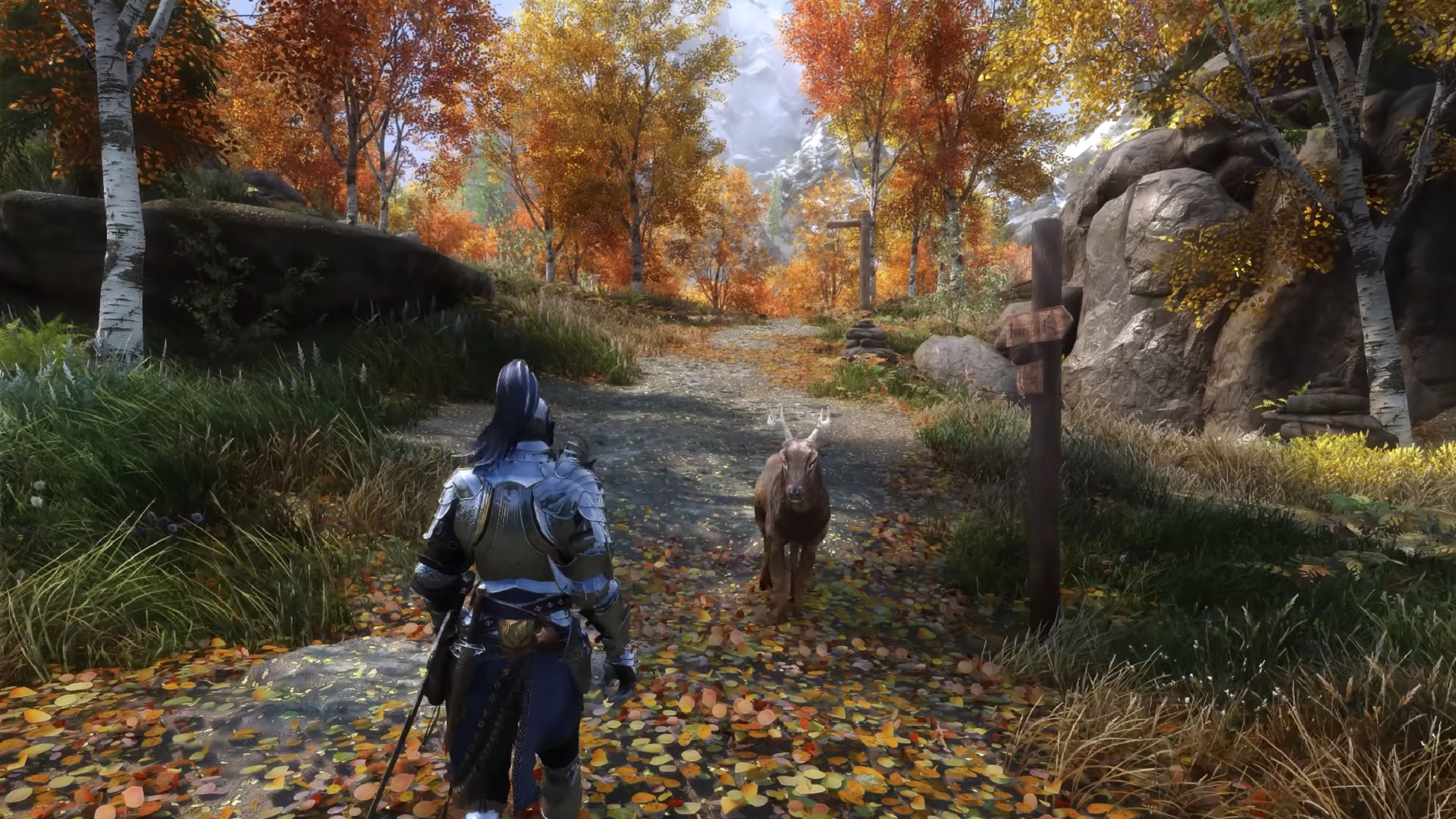 The Elder Scrolls V: Skyrim se ve increíble con más de 1200 mods y ...