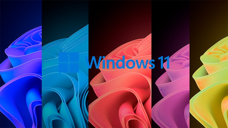 Windows 11 implementa una nueva función para administrar los colores de ...